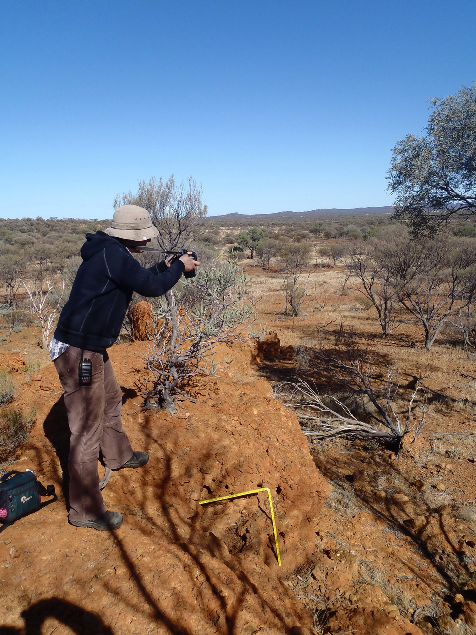 Sharon Lane – Alliance Archaeology